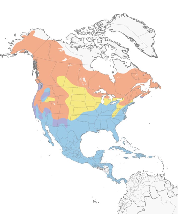 Prothonotary Warbler Range