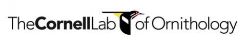 Just in Time for Spring, the Lab Gets a New Logo | All About Birds