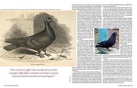 Darwin’s Other Bird—The Domestic Pigeon | Living Bird | All About Birds