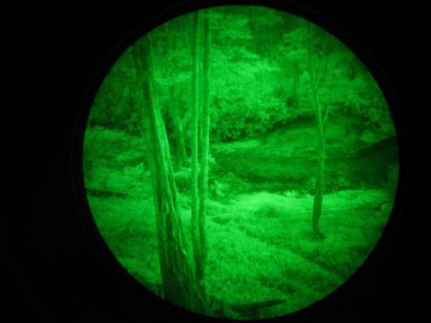 Gabon Update: Elephants Through Night Vision Glasses | All About Birds