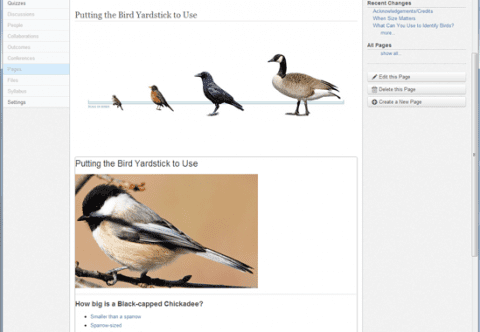 Learn About Birds From Anywhere: New Online Webinar and Course ...
