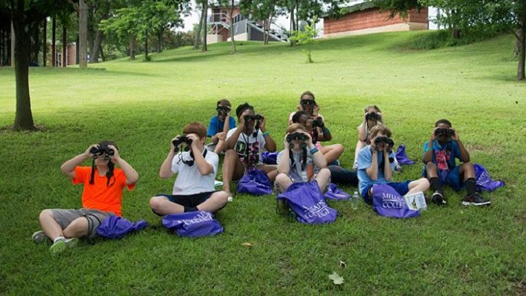 FAQs & Common Problems | All About Birds