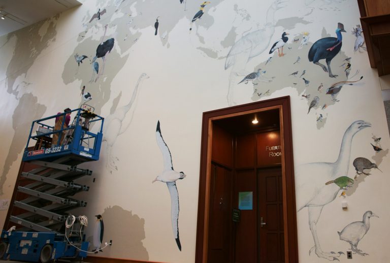 An Ambitious Mural Puts All 243 Bird Families Onto an Enormous Map of ...