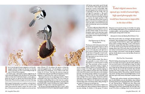 Caught in the Act: How to Photograph Birds in Action | Living Bird ...