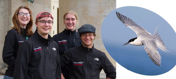 The Redheads: Student Birding Teams Place High in 2016 World Series of ...