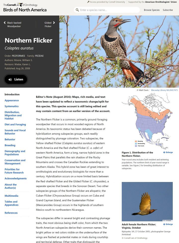 Birds of North America Compiles Virtually Everything Known About 760 ...