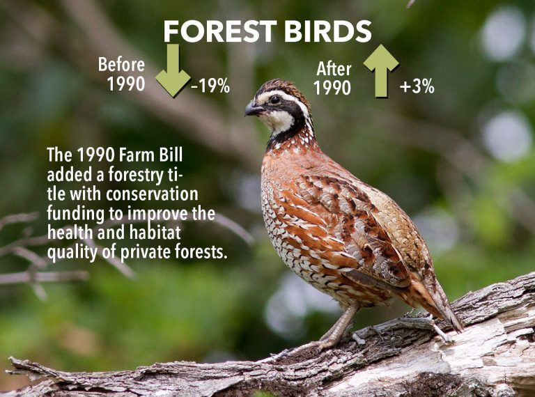 The Farm Bill Protects Birds and Clean Water. Here’s How | Living Bird ...