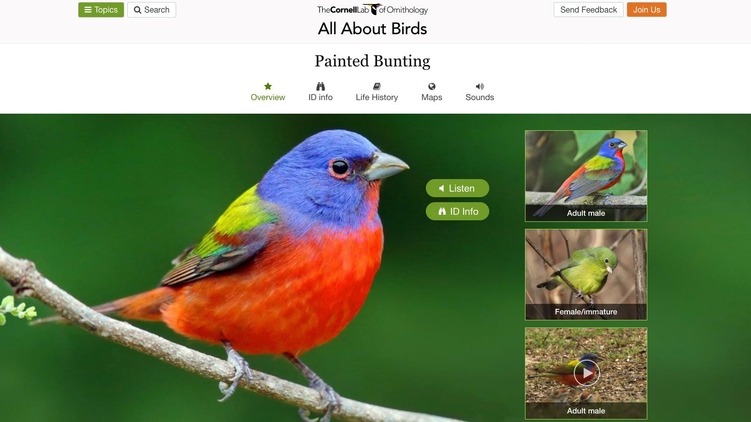 Redesigning Our Online Species Guide: A Look at What's New | All About ...