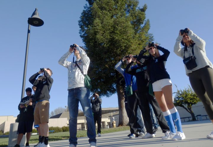 Perspective: Let's Start Teaching Ornithology in High School | All ...