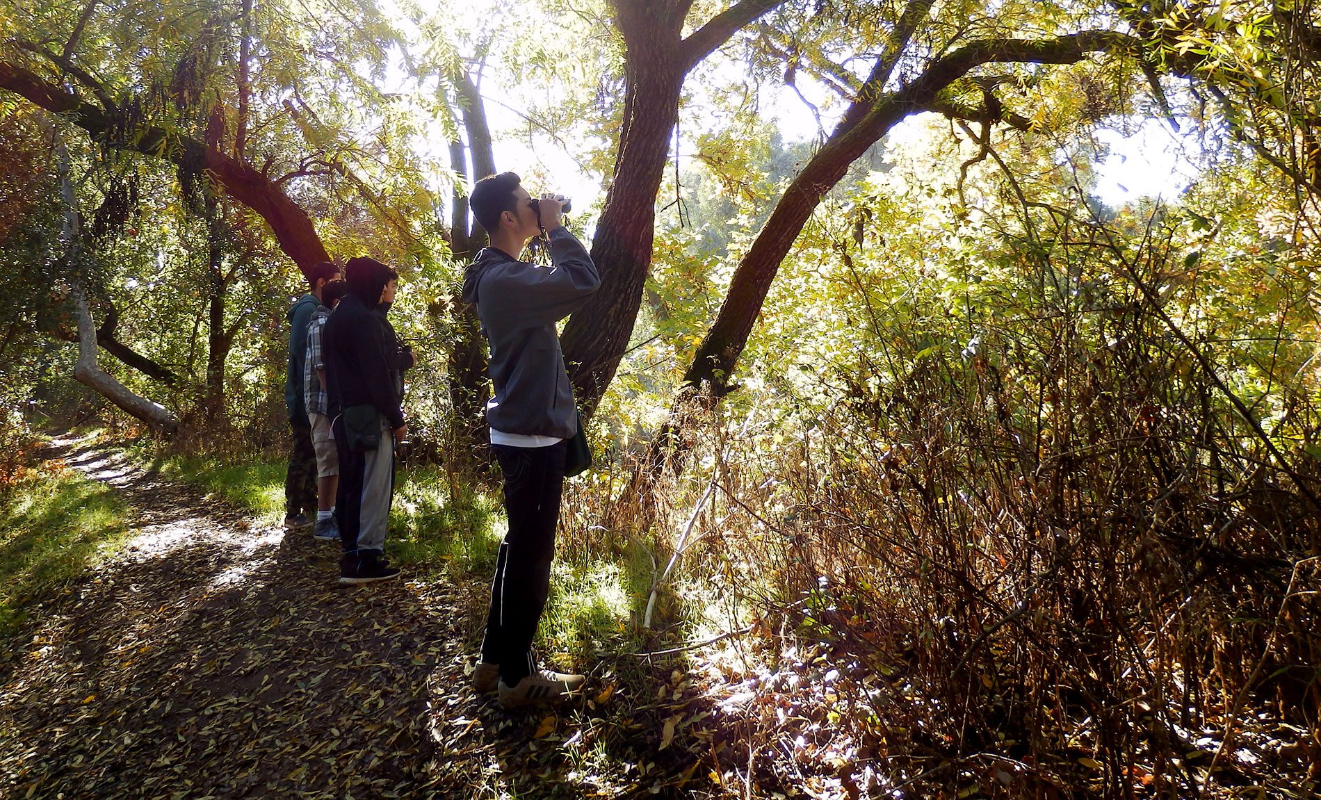 Perspective: Let's Start Teaching Ornithology in High School | All ...