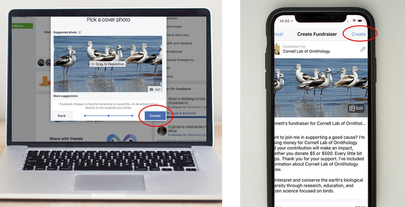 How to Create Your Own Facebook Fundraiser to Help the Cornell Lab ...
