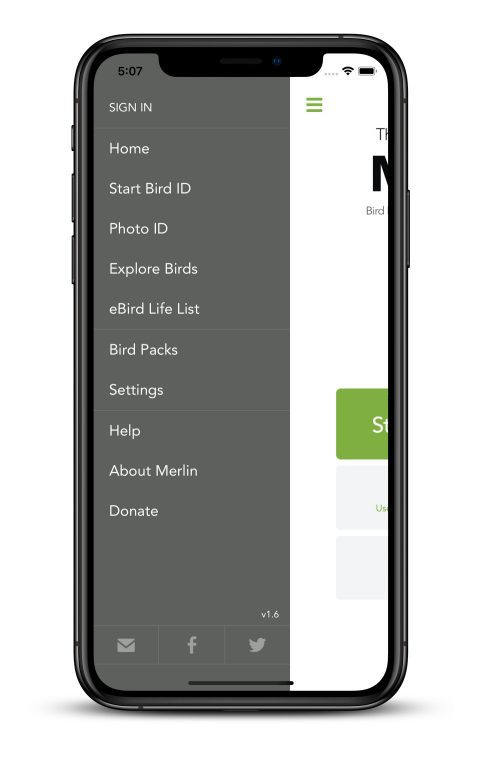 Get More From Merlin Bird ID With These Powerful Features | All About Birds