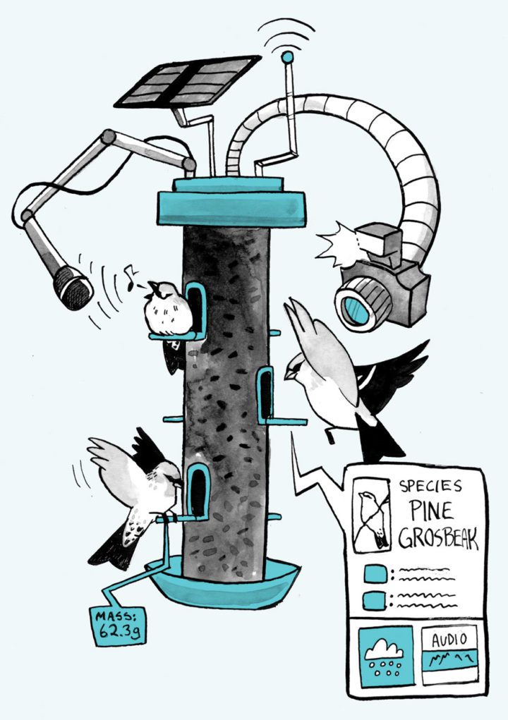 Birding with Technology in the Year 2025: Our Predictions | Living Bird ...