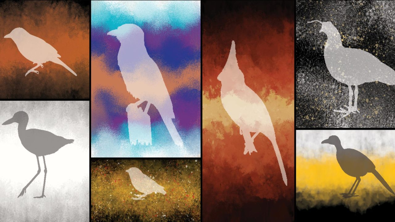 Birding with Technology in the Year 2025: Our Predictions | Living Bird ...