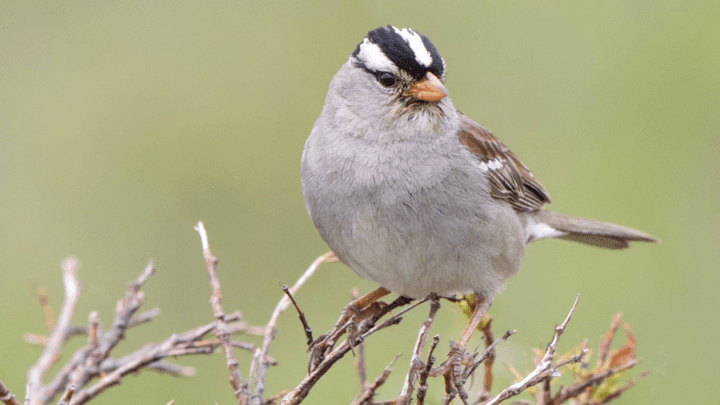 A Conversation with John Fitzpatrick and Ian Owens, the Lab’s Fifth and ...