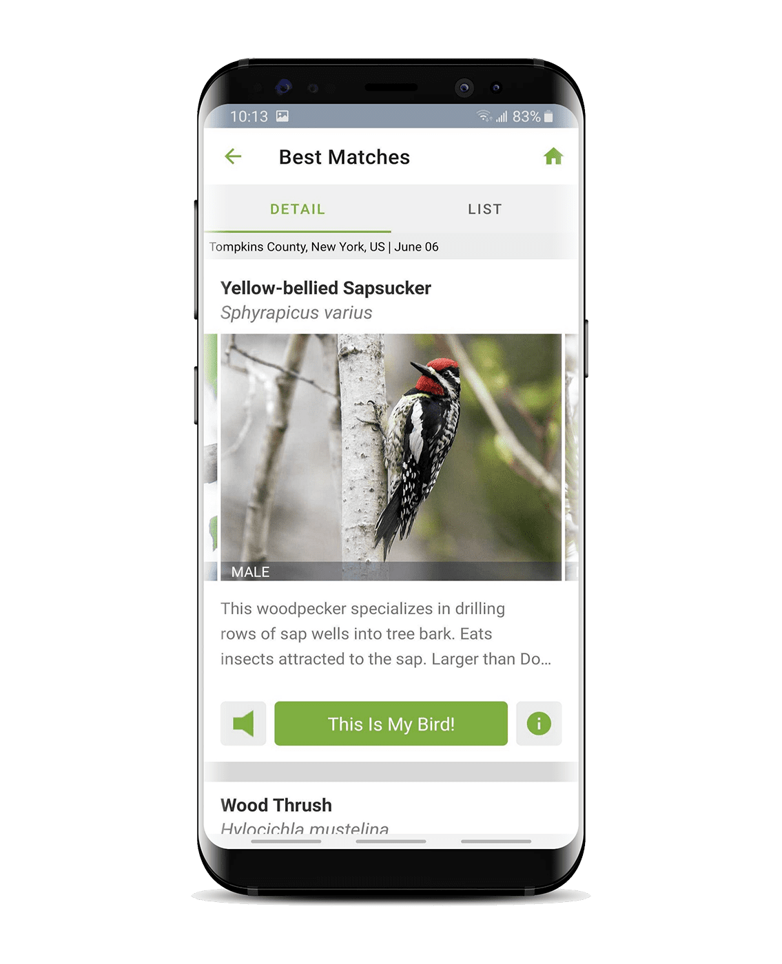 How to Save a List of Birds You've Identified Using Our Merlin App ...