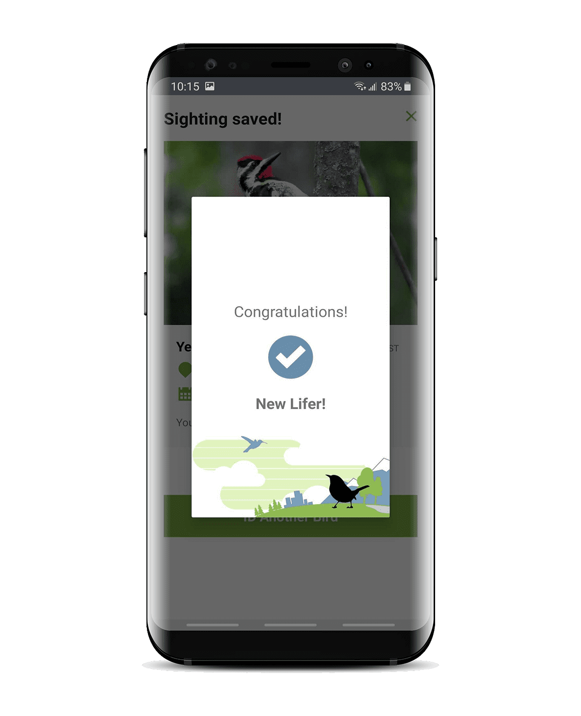 How to Save a List of Birds You've Identified Using Our Merlin App ...
