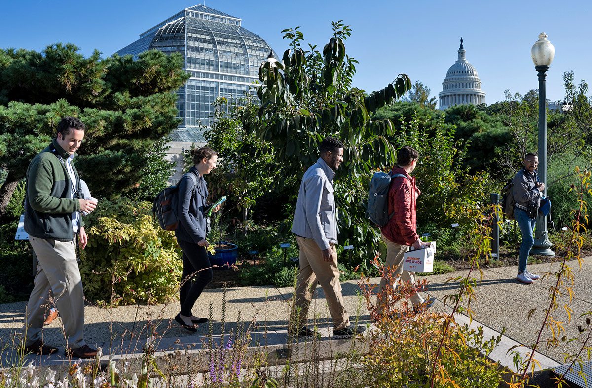 On Capitol Hill, Bird Walks Help Politicians Find Common Ground ...