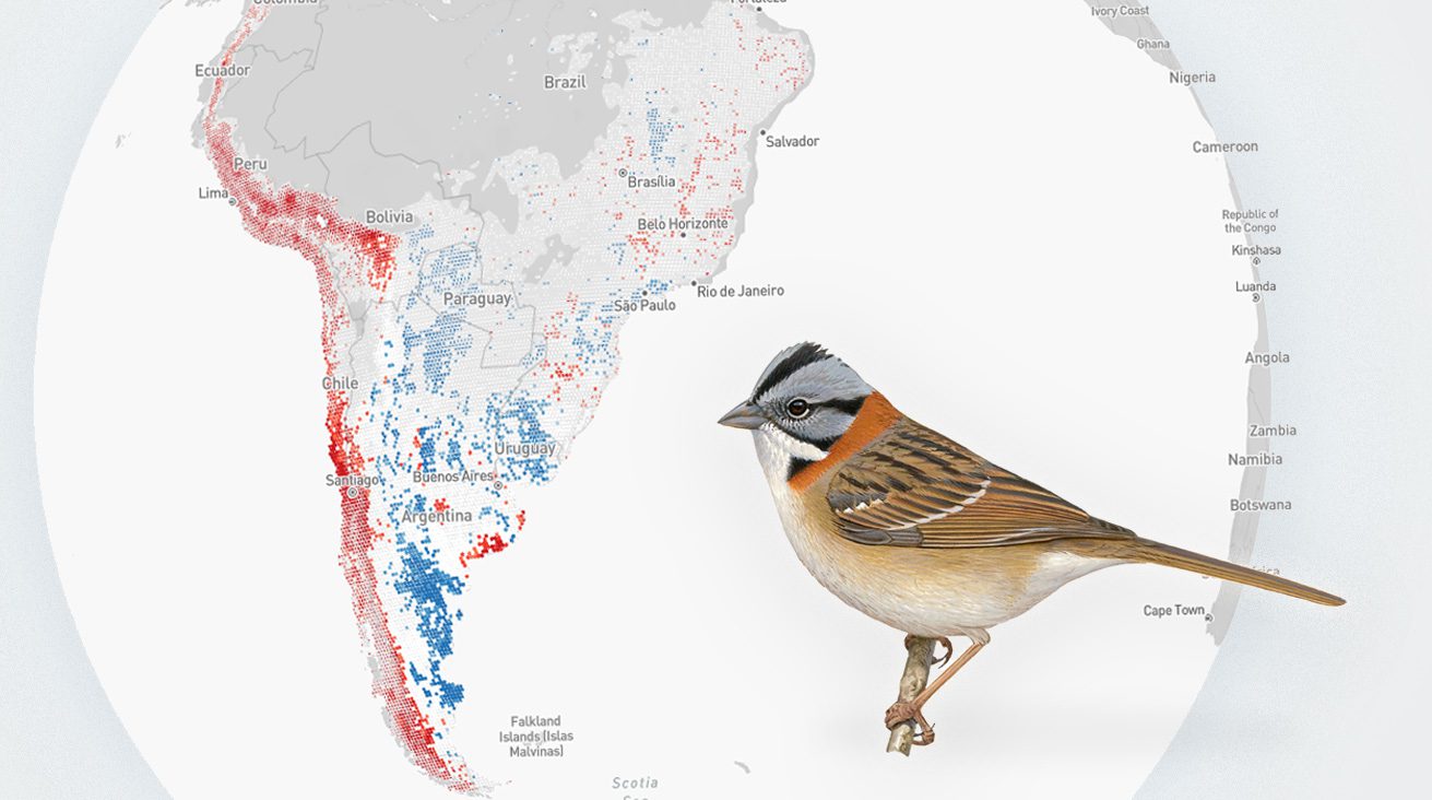eBird Trends: Introducing the Ultimate Drill-Down Tool for Viewing ...