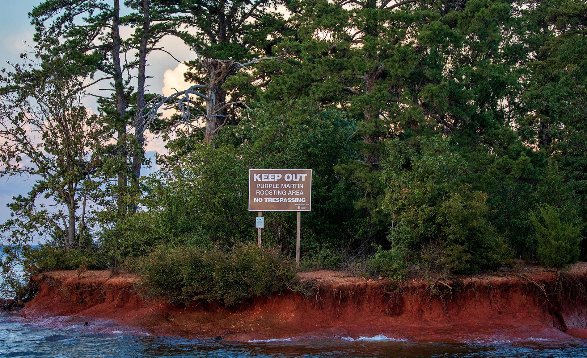 The “Purple Passion” of North America’s Purple Martin Landlords ...