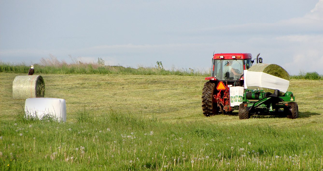 In A Climate-Change Shift, Dairy Farmers In Washington State Welcome ...