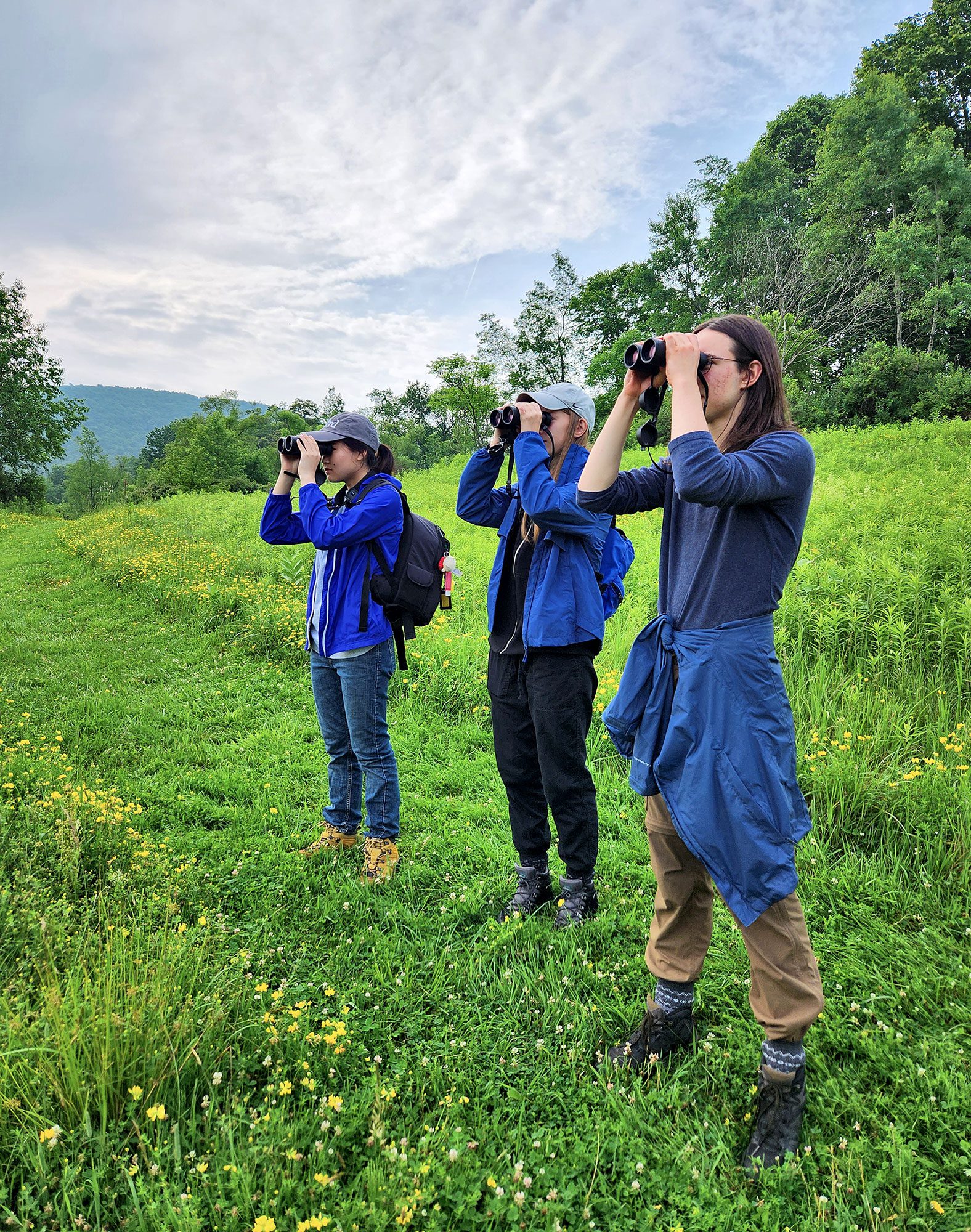 A Third of American Adults Are Birdwatchers, According to Nationwide ...