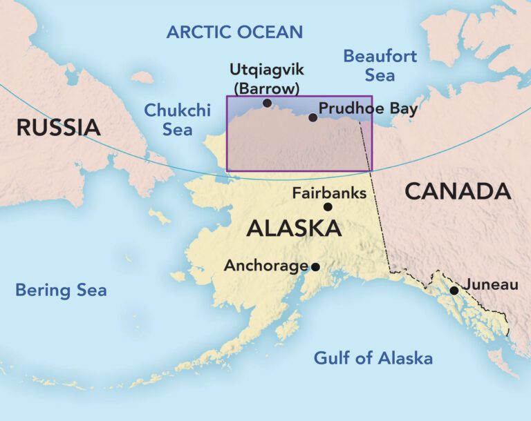 America’s Arctic: A Remote Patch of Oil-Rich Tundra That Teems with ...