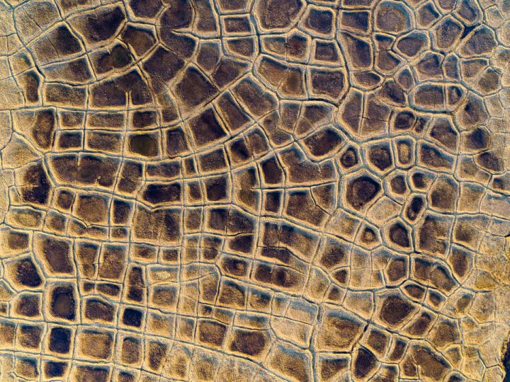 America’s Arctic: A Remote Patch of Oil-Rich Tundra That Teems with ...