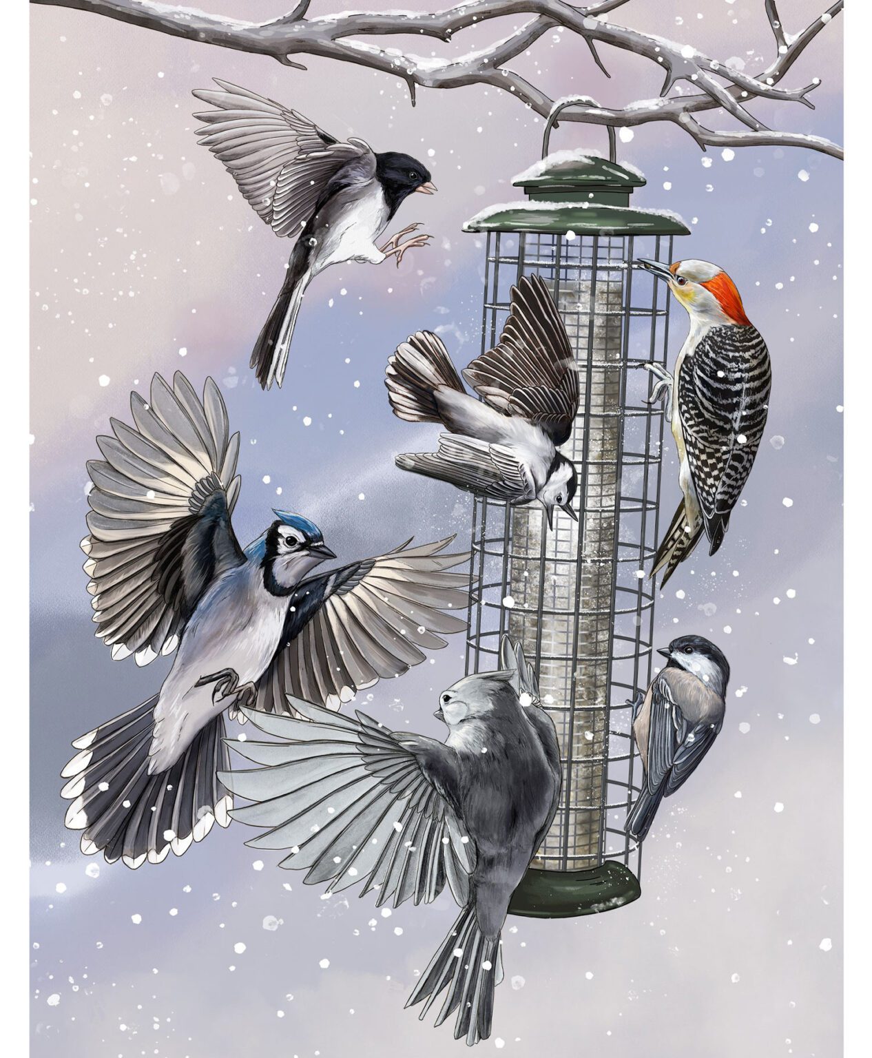 The Art of Birds, The Science of Birds | All About Birds