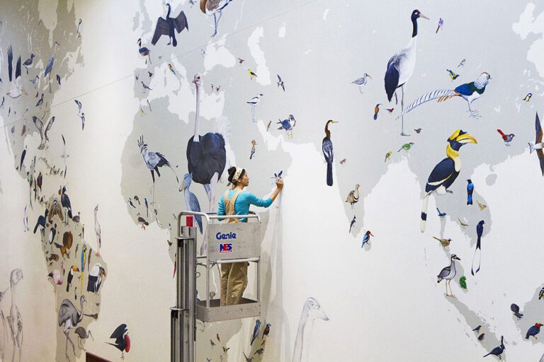 The Art of Birds, The Science of Birds | All About Birds