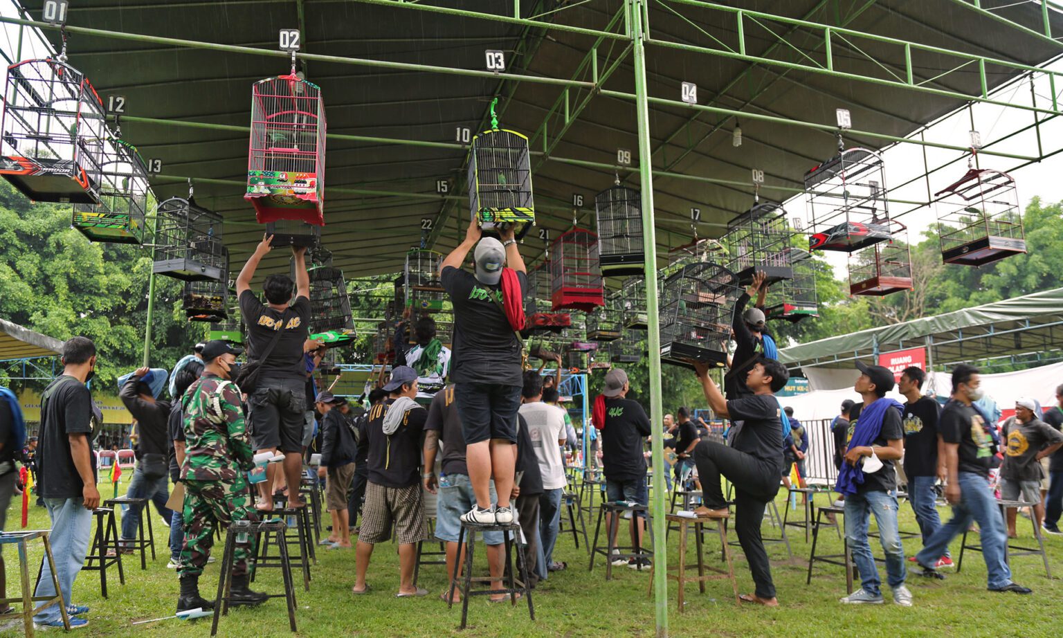 Inside the Indonesian Songbird Trade | Living Bird | All About Birds