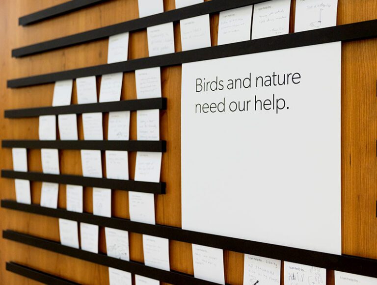 Cornell Lab Visitor Center is Reopened, and Reimagined | Living Bird ...