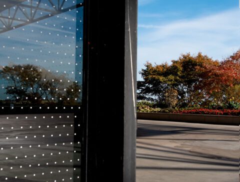 A Simple Window Treatment Drastically Cuts Bird Collisions at a Chicago ...