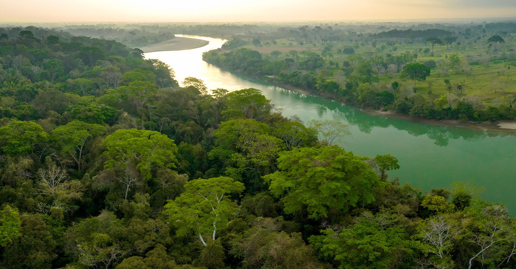 Mexico’s Long Road to a Scarlet Macaw Revival | Living Bird | All About ...