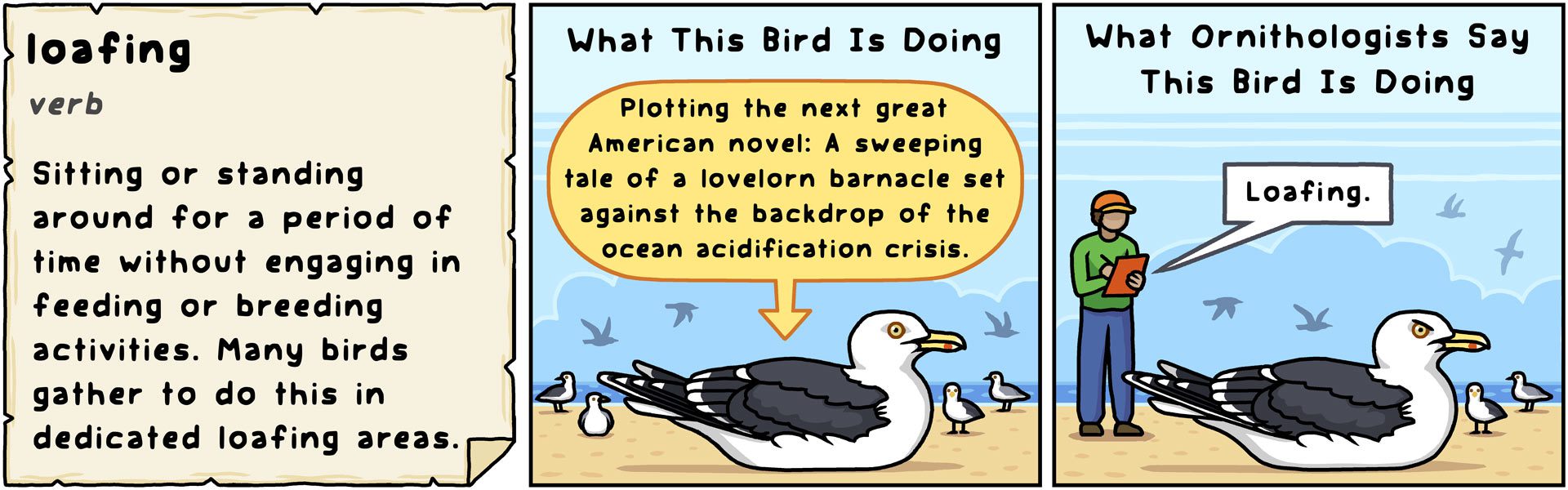 Birdword: An Illustrated Guide to Some Tongue-Twisting Ornithological ...