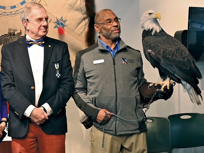 It’s Official: Bald Eagle Is America’s Bird | All About Birds