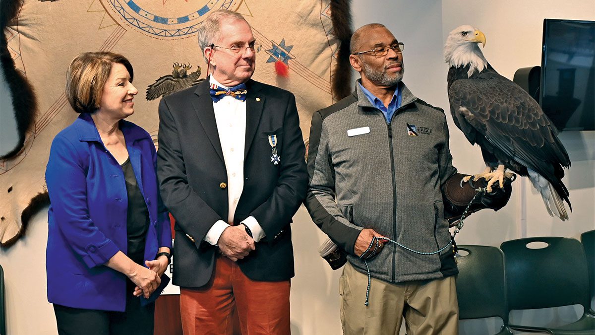 It’s Official: Bald Eagle Is America’s Bird | All About Birds