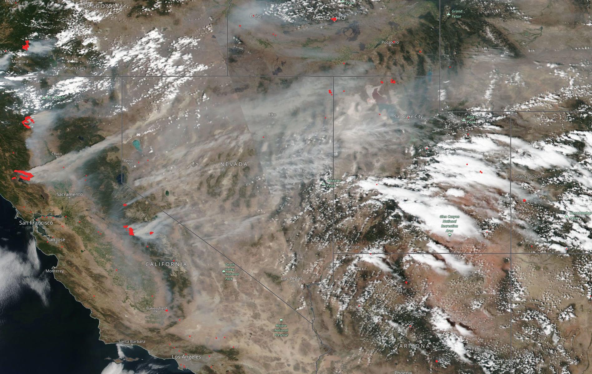 Is the Smoke from Wildfires Dangerous to Birds? | All About Birds