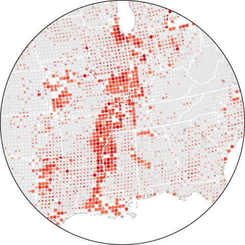 As Birds Decline, High-Precision eBird Models Offer a Vision of Hope ...