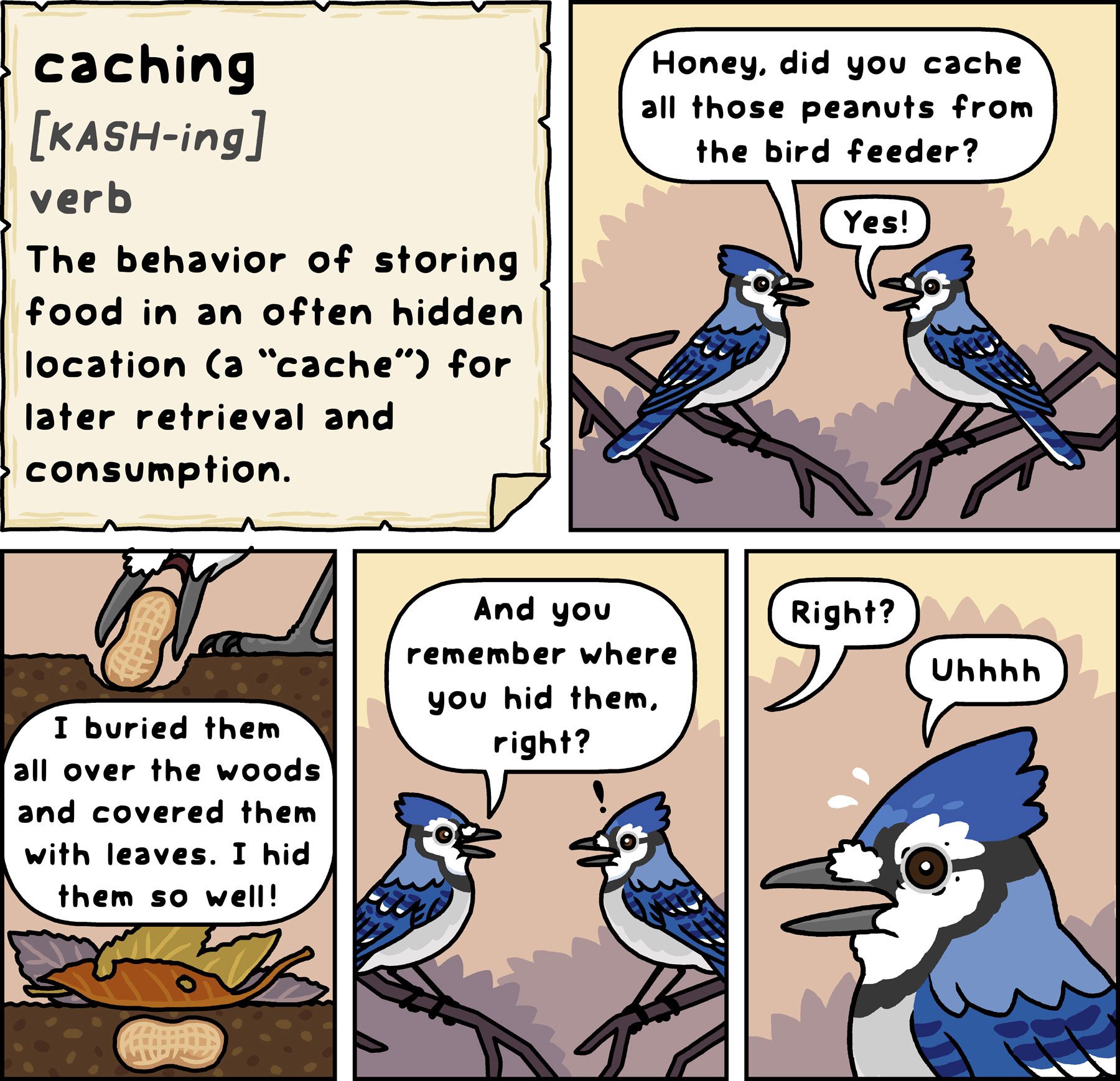 Birdword: An Illustrated Guide to Some Tongue-Twisting Ornithological ...