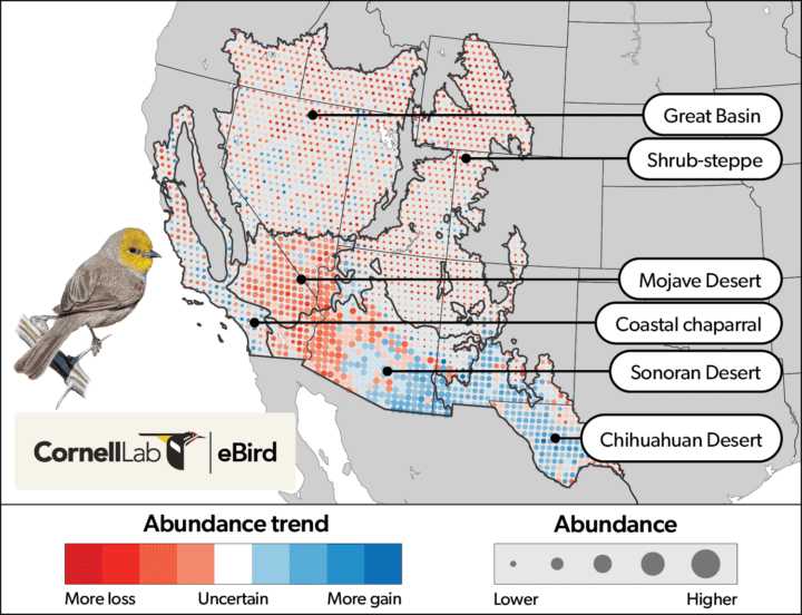Incorporating eBird Trends into State of the Birds 2025 | All About Birds