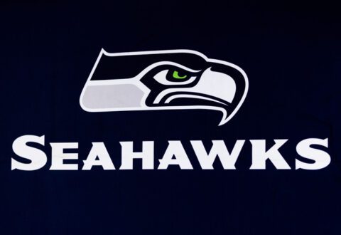 So Many Sports Teams Are Named for Birds—Here's Why (and Where to Find ...