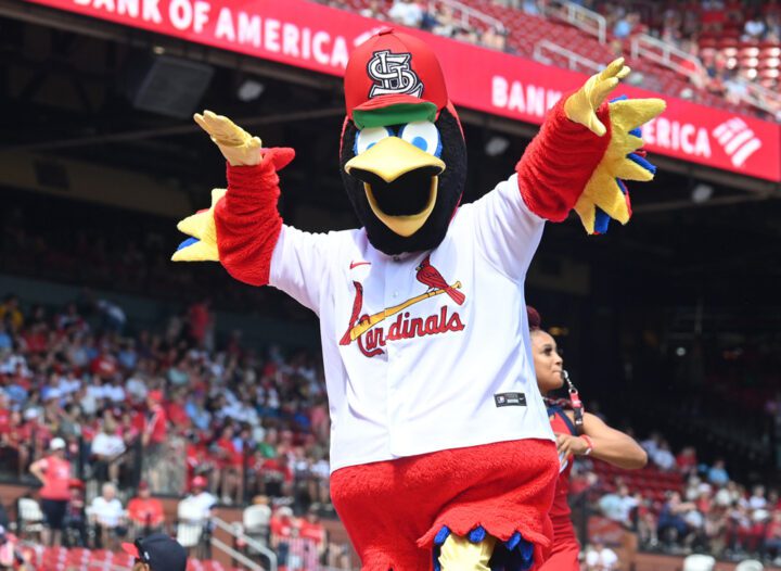 So Many Sports Teams Are Named for Birds—Here's Why (and Where to Find ...
